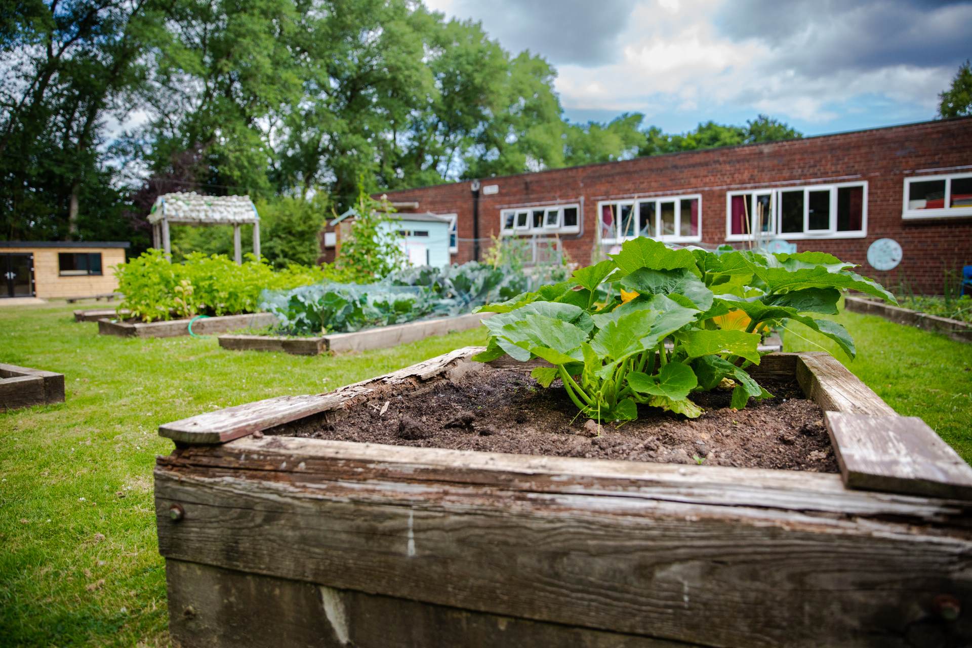 Brandhall Primary School - Reception