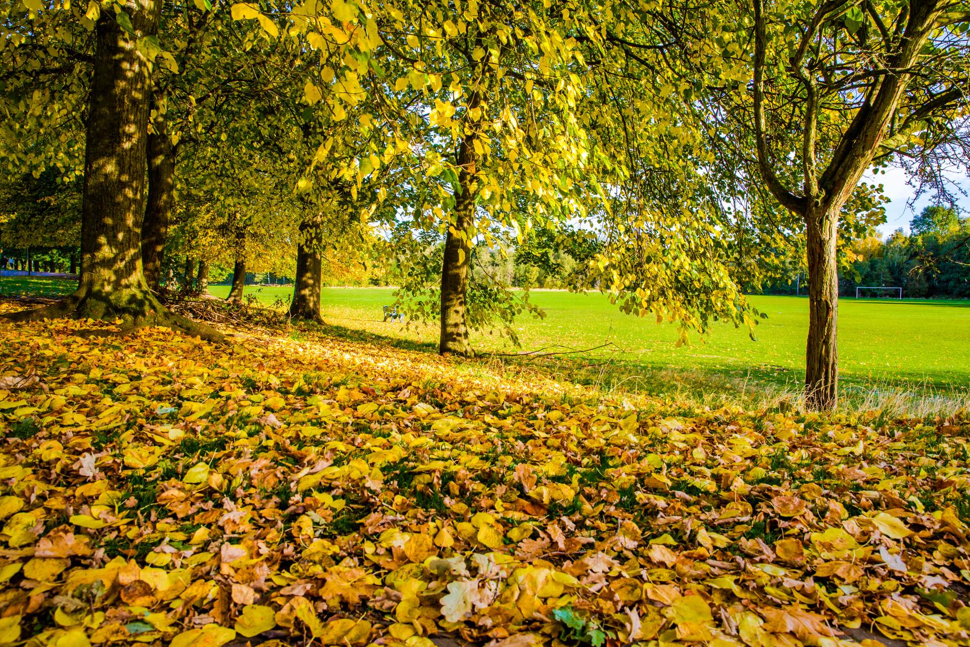 Brandhall Primary School - Reception